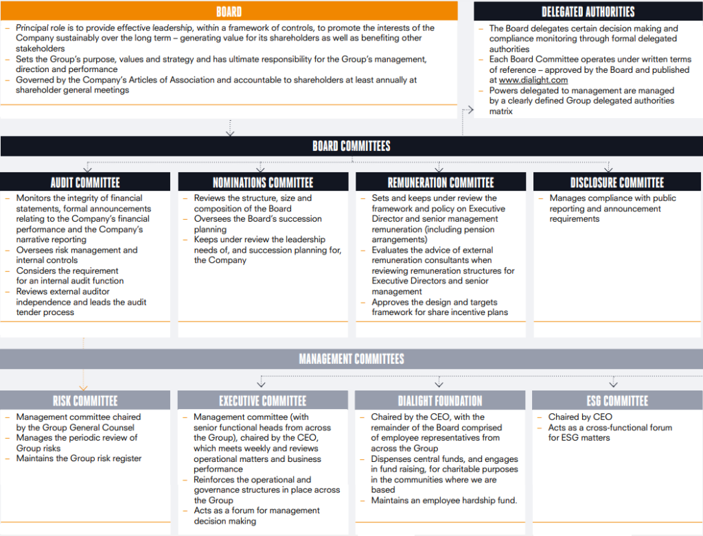 Governance Structure - Dialight